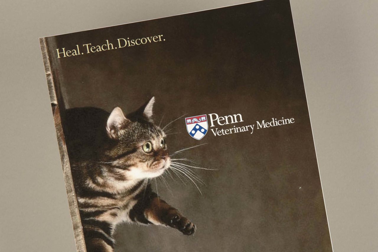 Penn Vet - Modern SBC - Strategic Branding and Communications